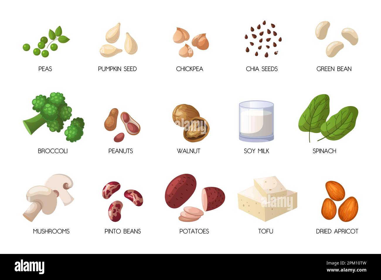 Vegan sources of protein cartoon illustration set Stock Vector Image ...