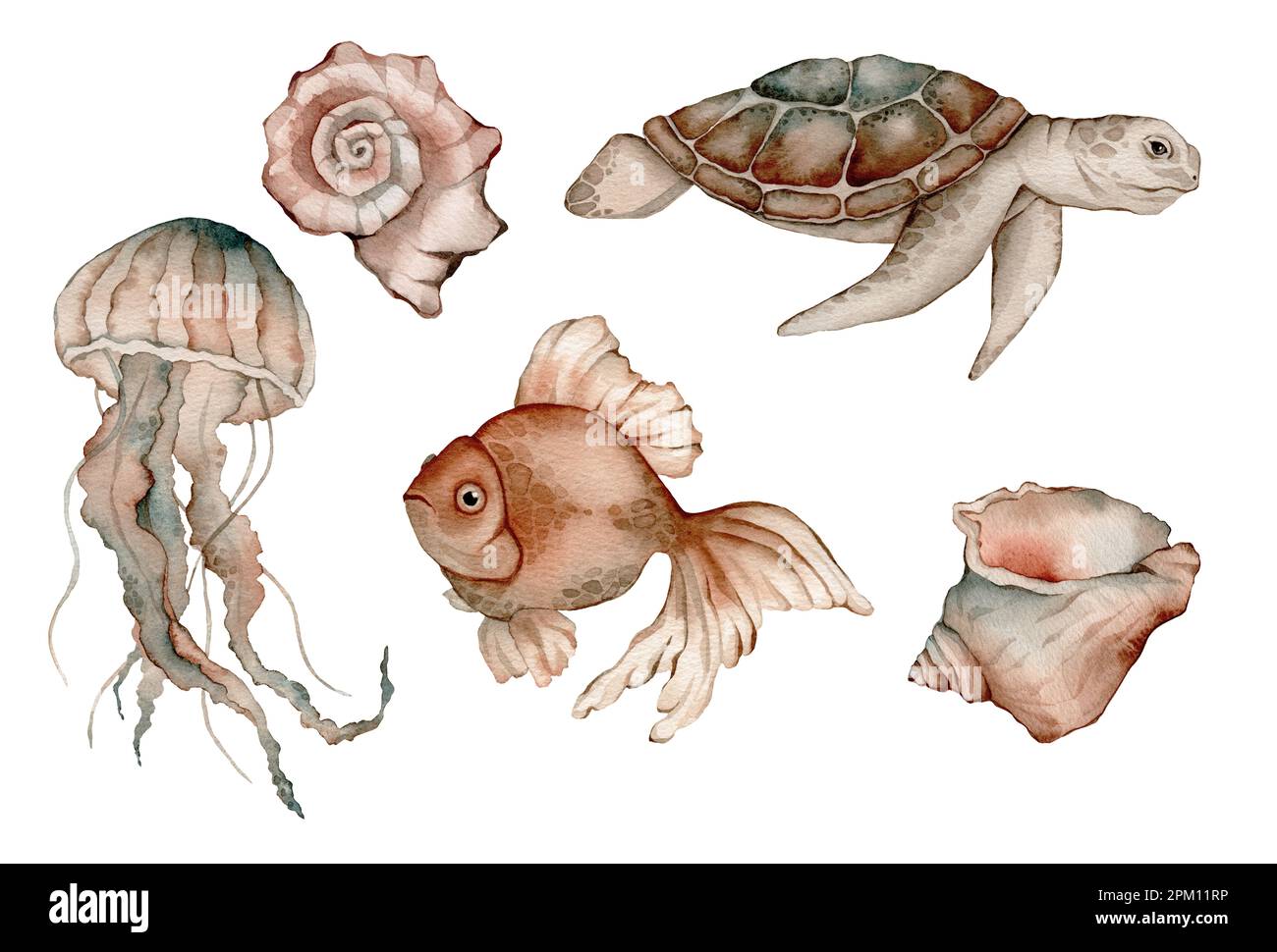 Set of sea animals poster. Blue, greeen, brown watercolor ocean ...