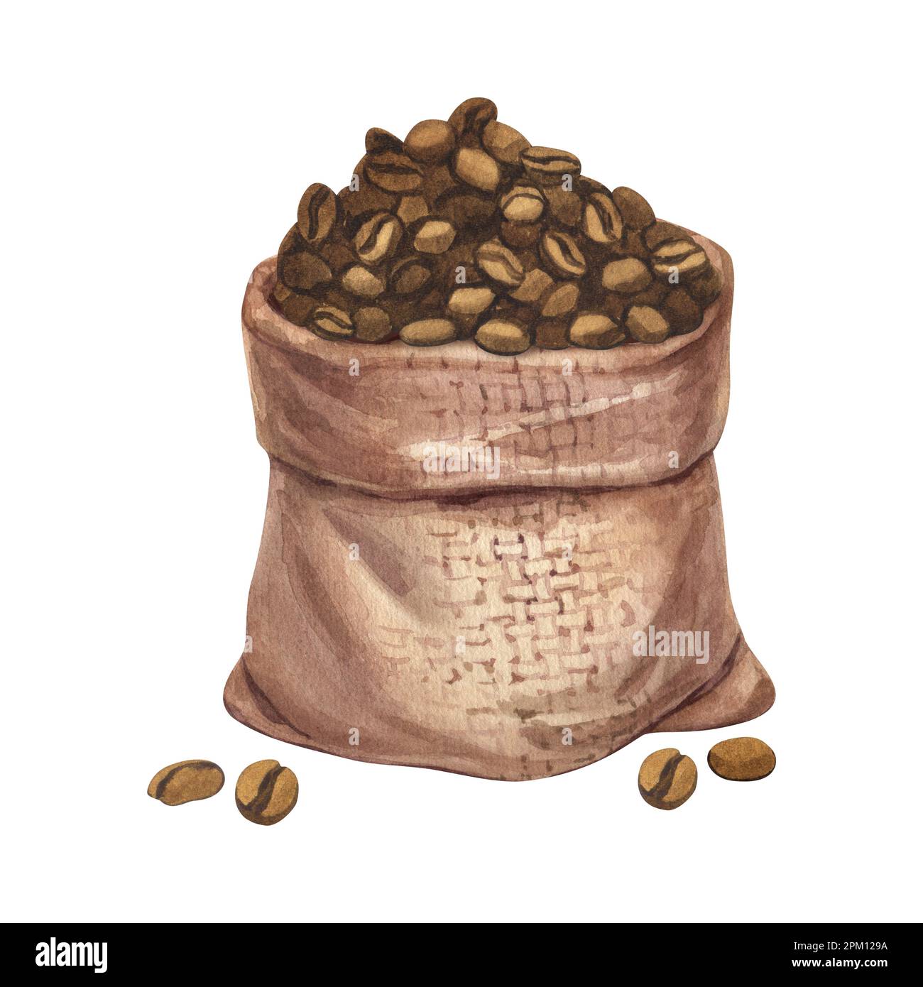 Watercolor hard roasted coffee beans in jute burlap sack. Hand-drawn illustration isolated on ...