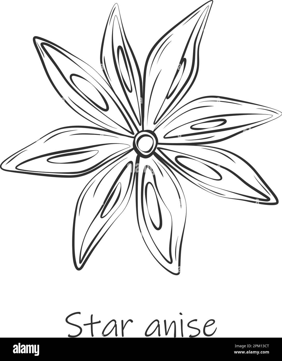 Spice herbs banner hand Black and White Stock Photos & Images - Alamy