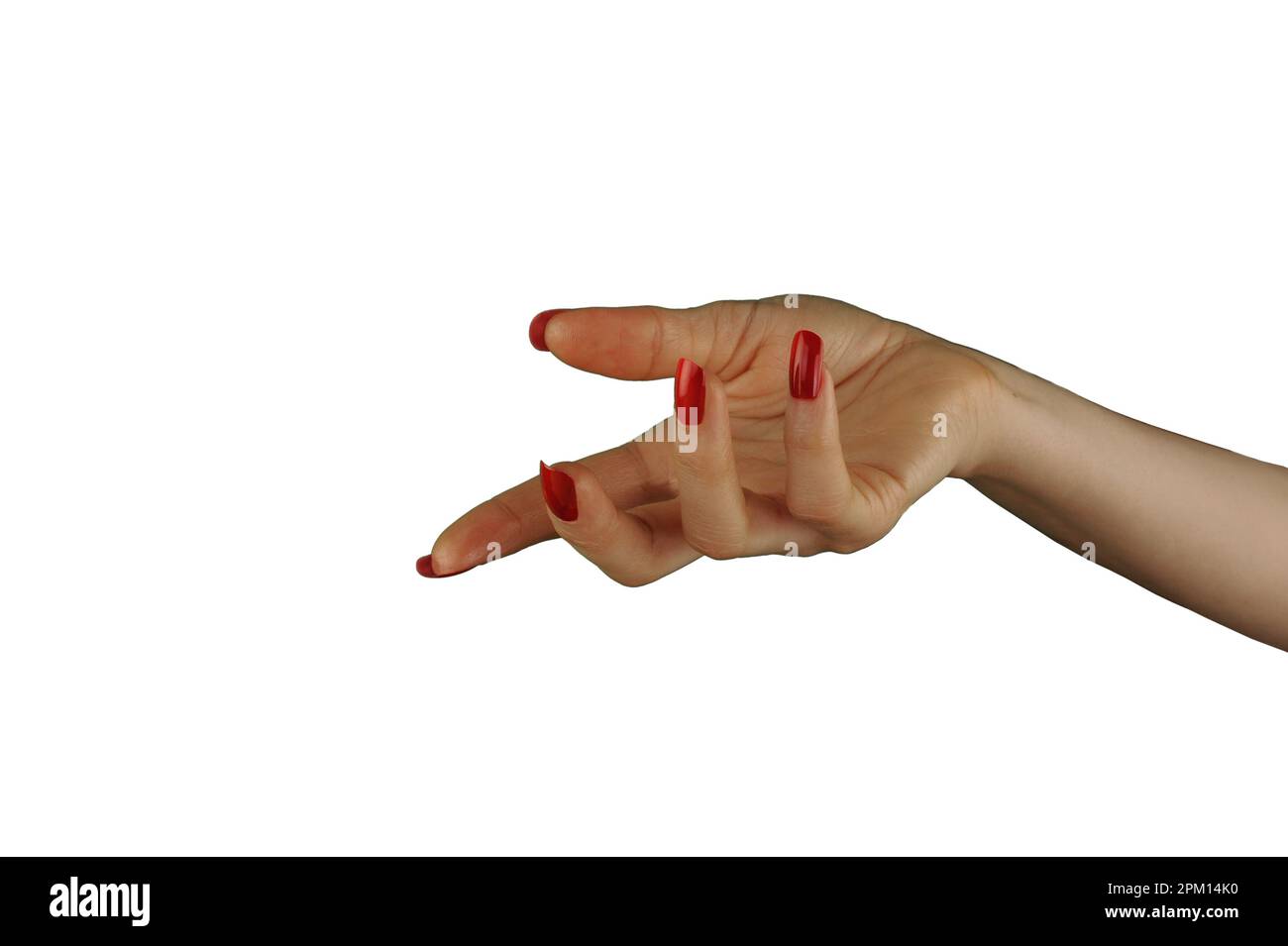 Female hand with red manicure holding and pointing something isolated ...