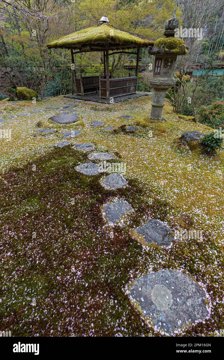 Hakuryu-en literally means 'white dragon garden', has been placed in an ...