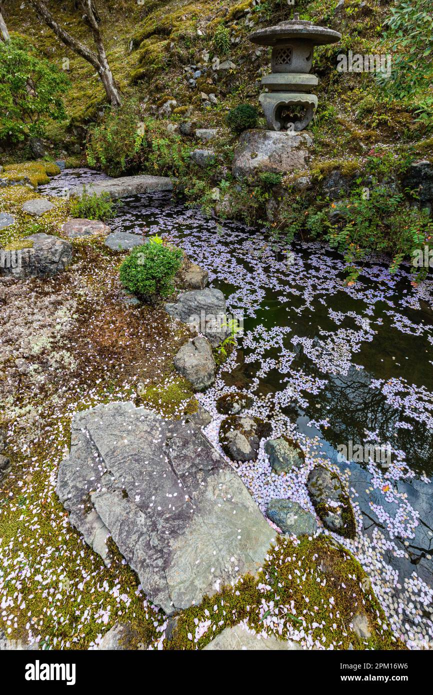 Hakuryu-en literally means 'white dragon garden', has been placed in an ...