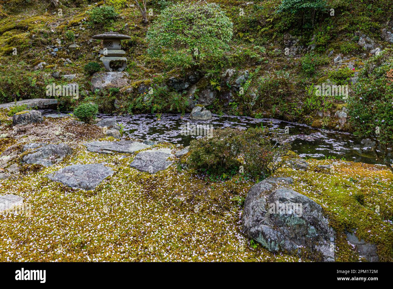 Hakuryu-en literally means 'white dragon garden', has been placed in an ...