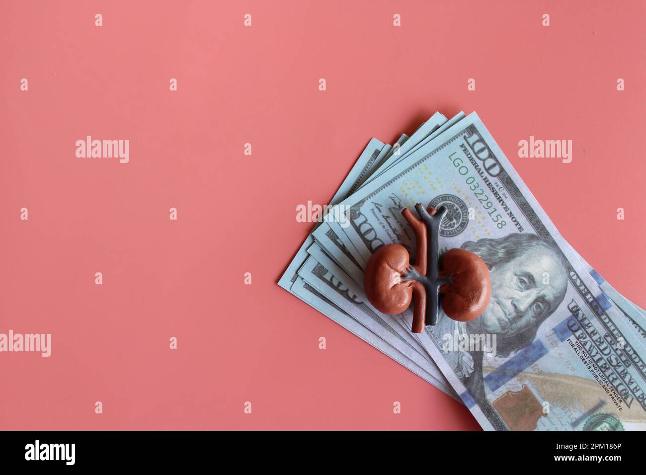 Human kidney model and money with copy space. Organ trade, organ ...