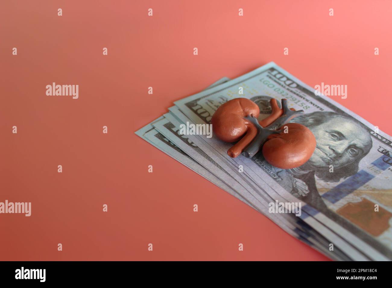 Human kidney model and money with copy space. Organ trade, organ ...