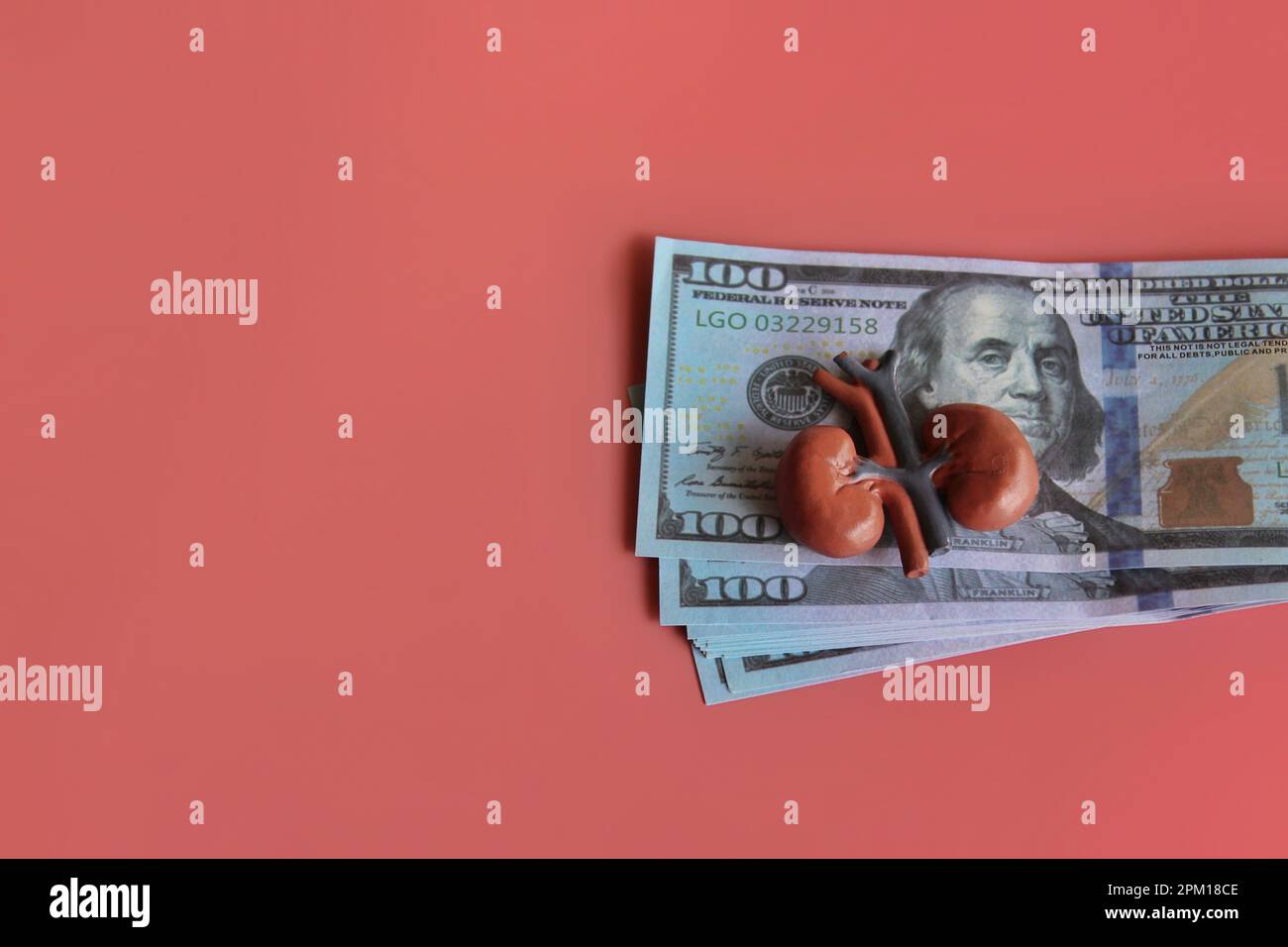 Human kidney model and money with copy space. Organ trade, organ ...