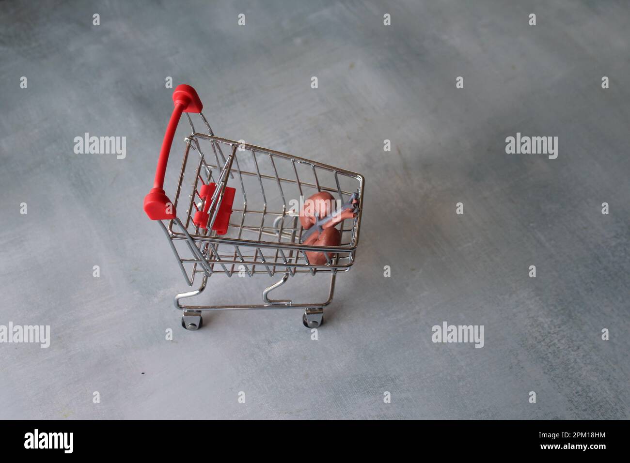 Selective focus image of human kidney model inside shopping trolley ...