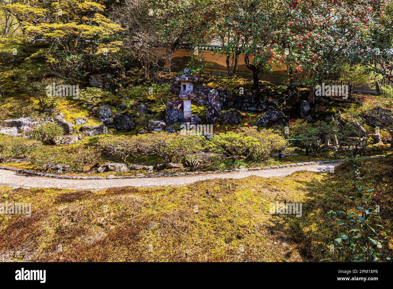 Reikanji - there are more than 30 types of camellias on the grounds of ...