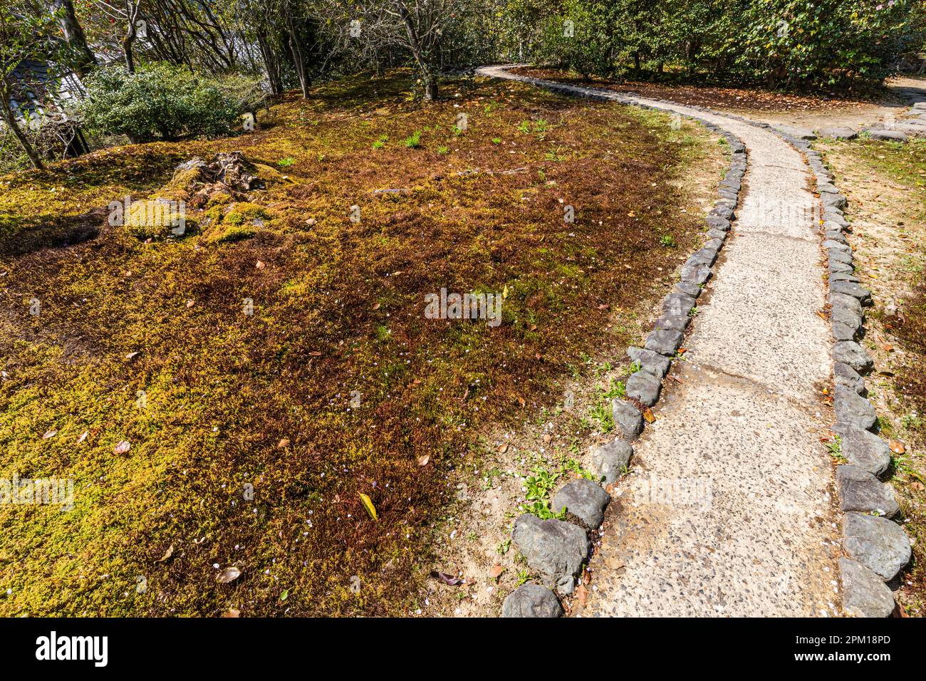 Reikanji - there are more than 30 types of camellias on the grounds of ...