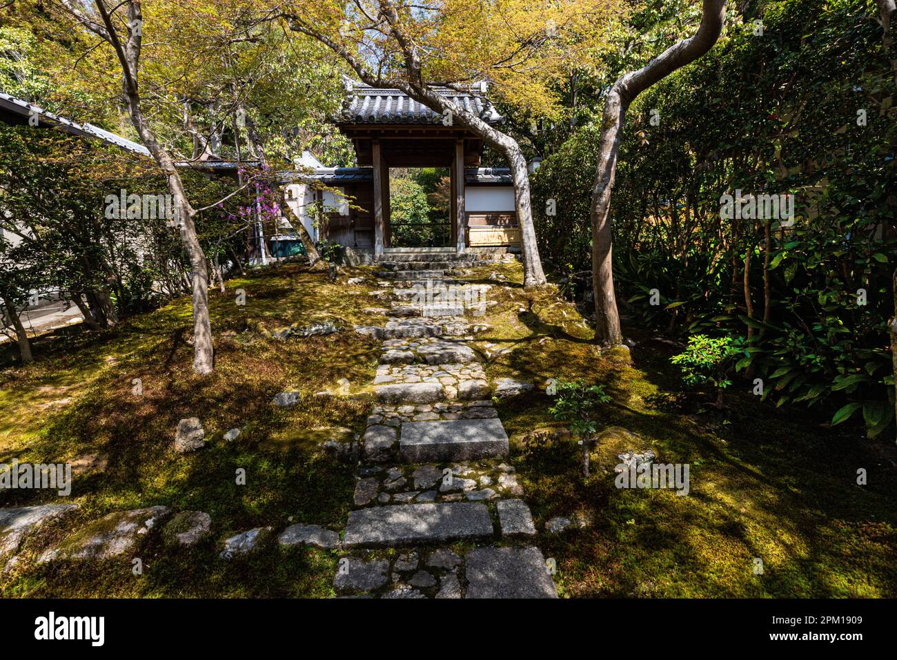 In the western part of the precincts of Ryoan-ji Temple, Seigen-in is ...