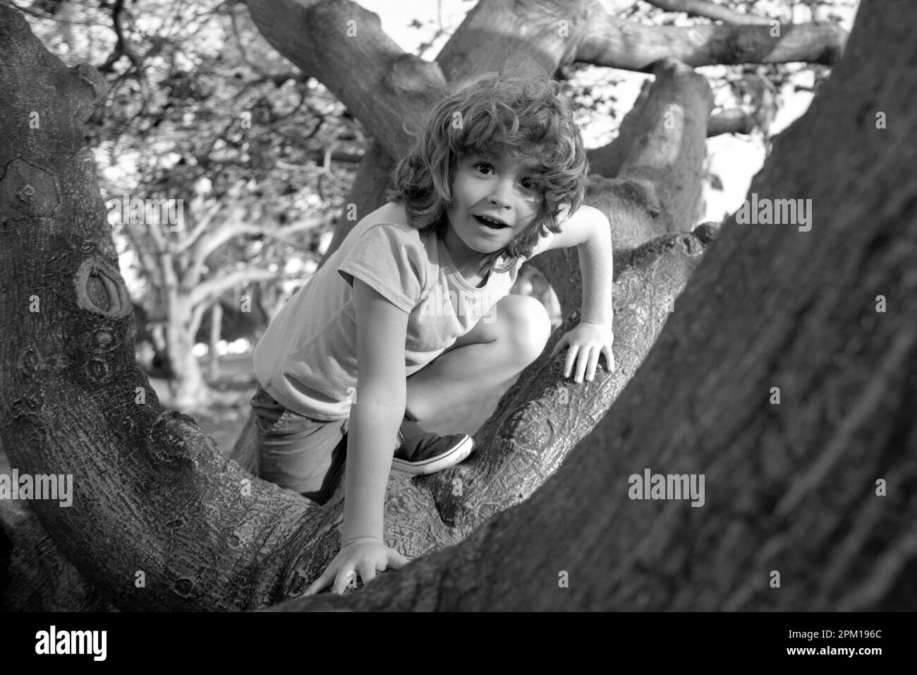 Kid child playing riding a tree branch Stock Photo - Alamy