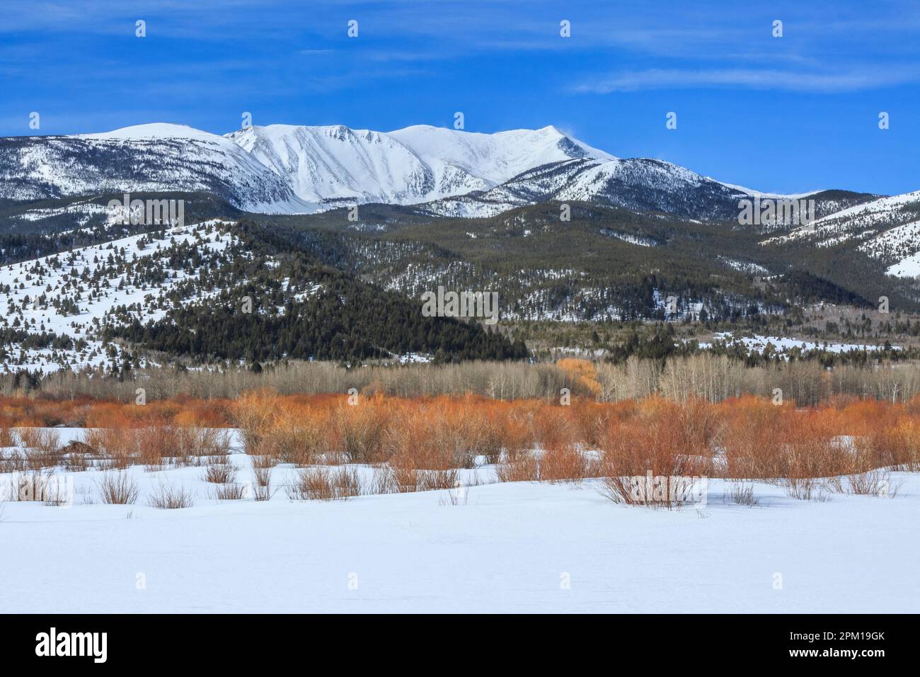 mount haggin in the anaconda range above the warm springs creek valley ...