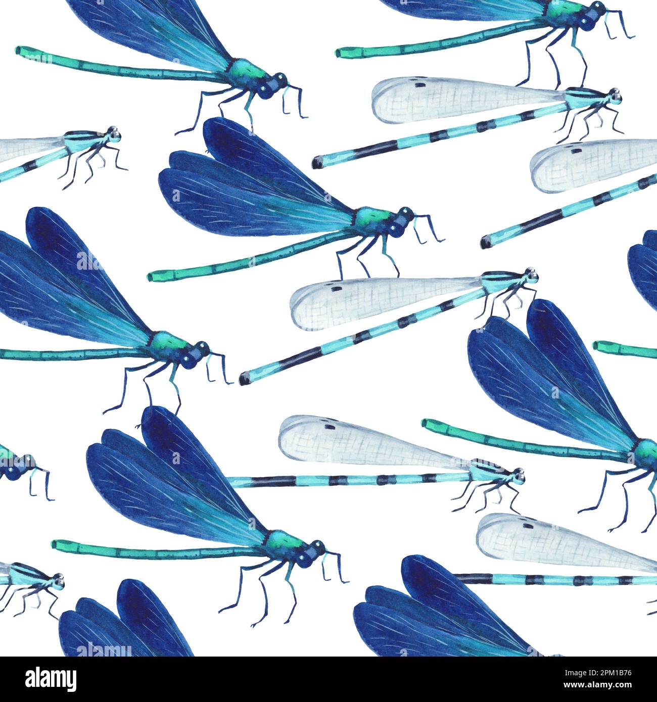 Vintage dragonflies Cut Out Stock Images & Pictures - Alamy