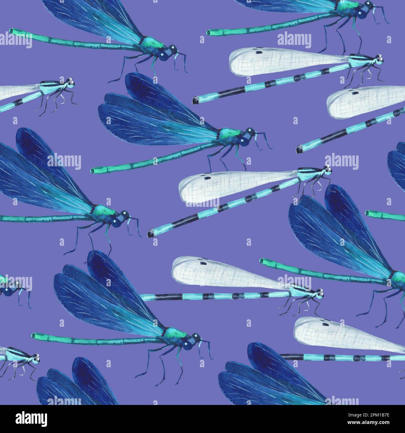 Seamless dragonfly graphic pattern hi-res stock photography and images ...