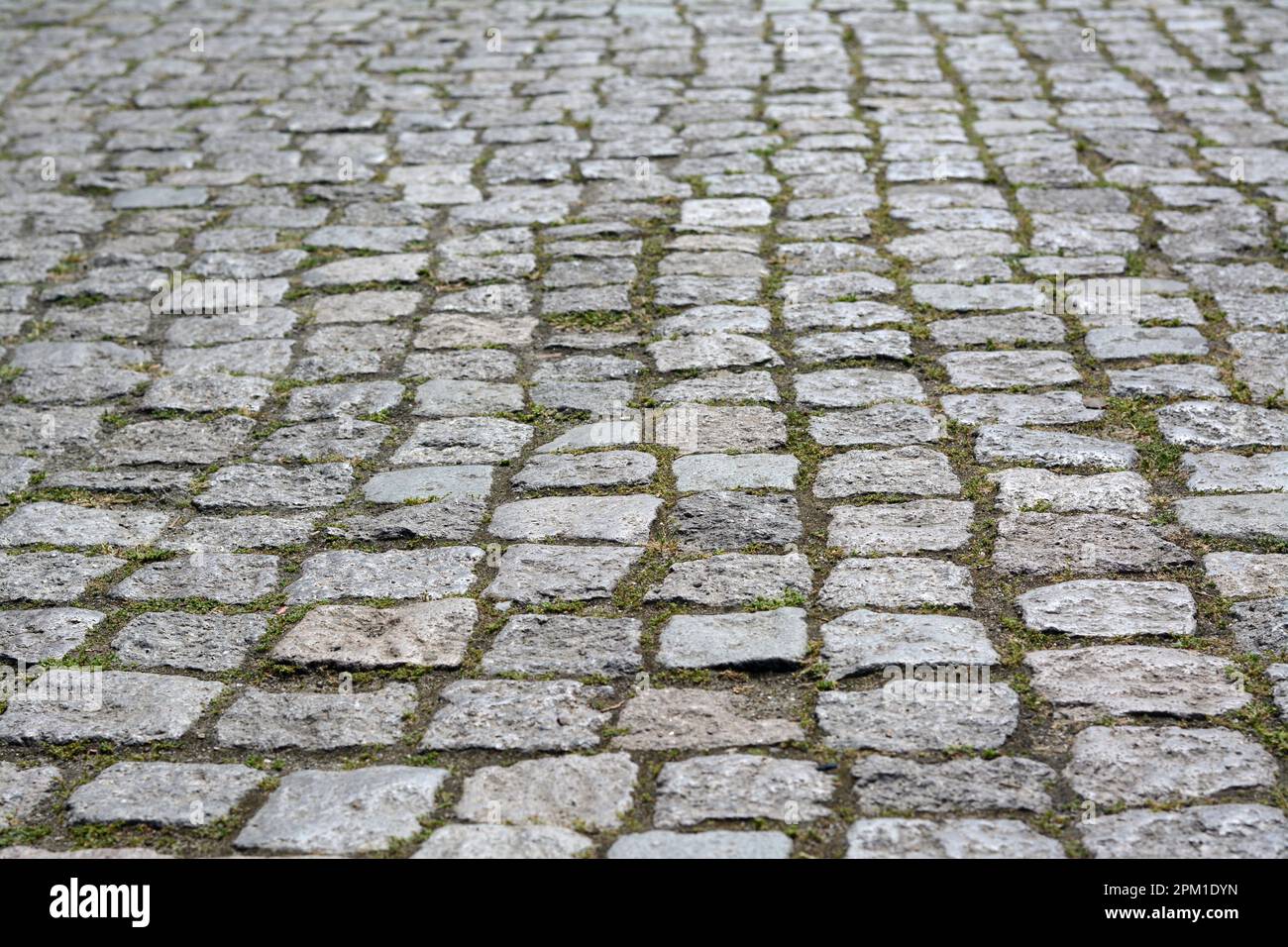 Old stone pathway with grass as background Stock Photo - Alamy
