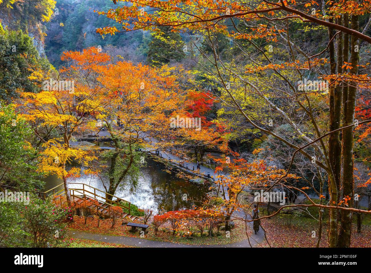 A Road Leads to Takachiho Gorge in Miyazaki, Japan in Colorful Autumn ...