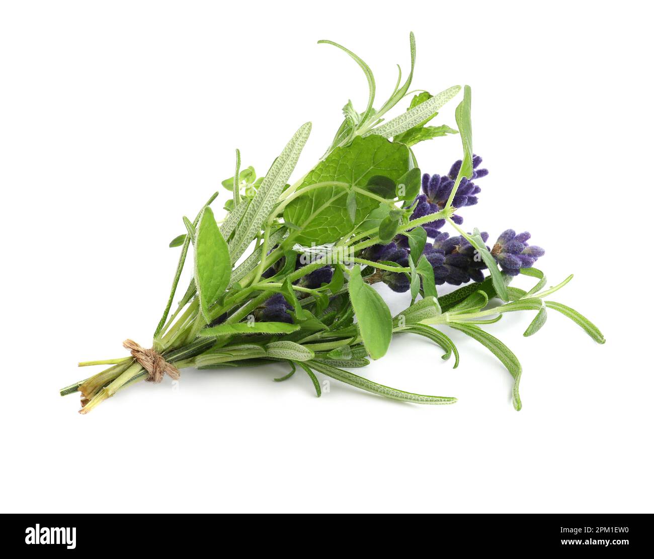 Bunch of fresh aromatic herbs on white background Stock Photo - Alamy