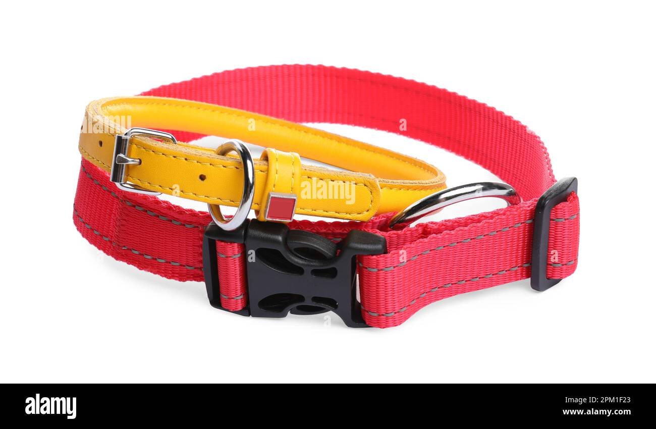 Different leather and textile dog collars on white background Stock ...