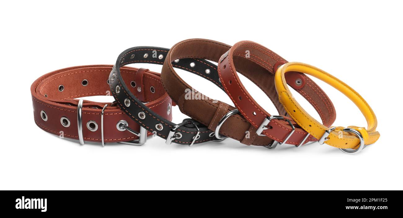 Different leather dog collars on white background Stock Photo - Alamy