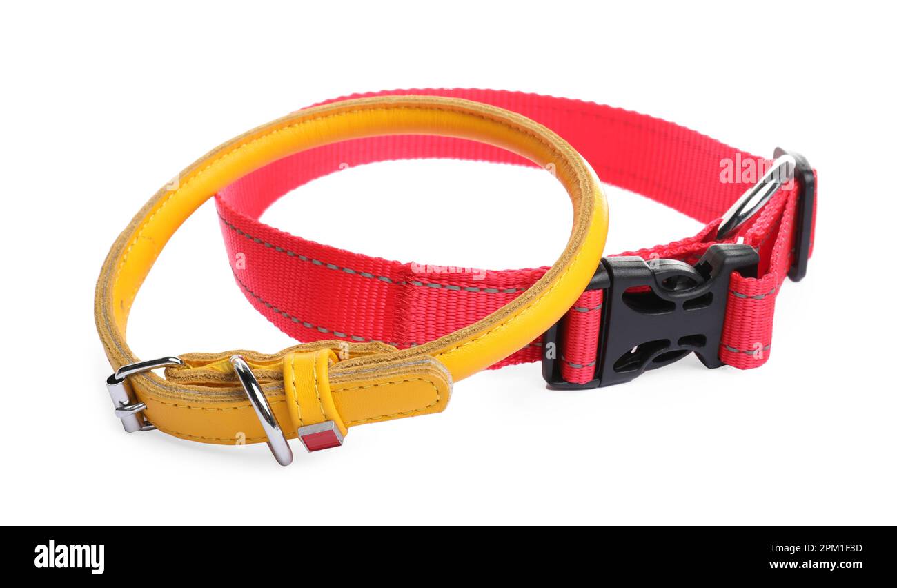 Different leather and textile dog collars on white background Stock ...