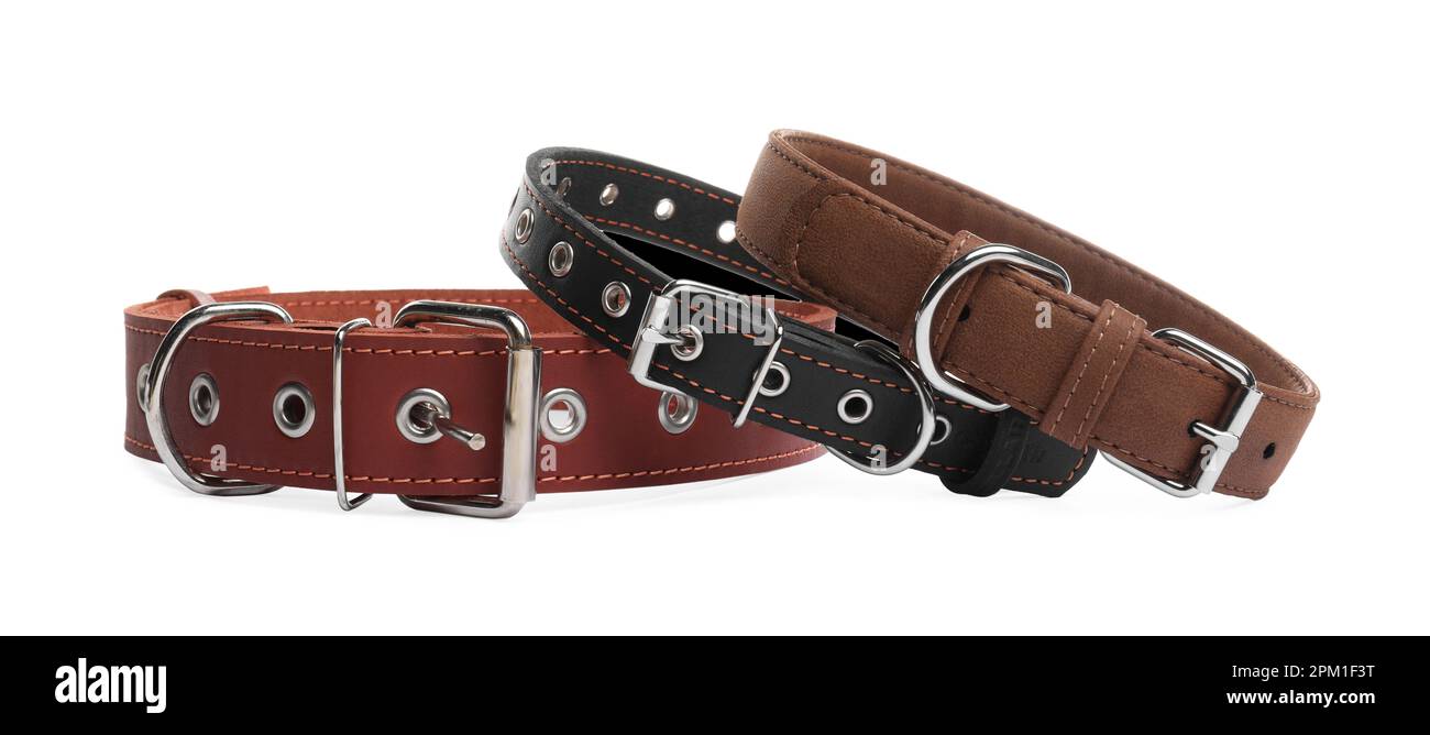 Different leather dog collars on white background Stock Photo - Alamy