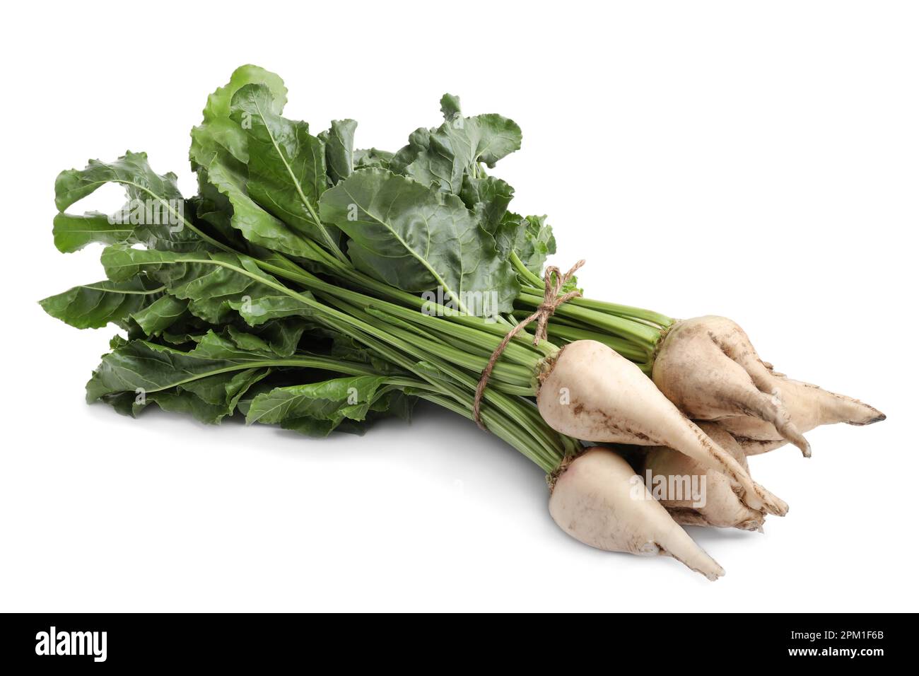 Sugar beet harvest beets Cut Out Stock Images & Pictures - Alamy