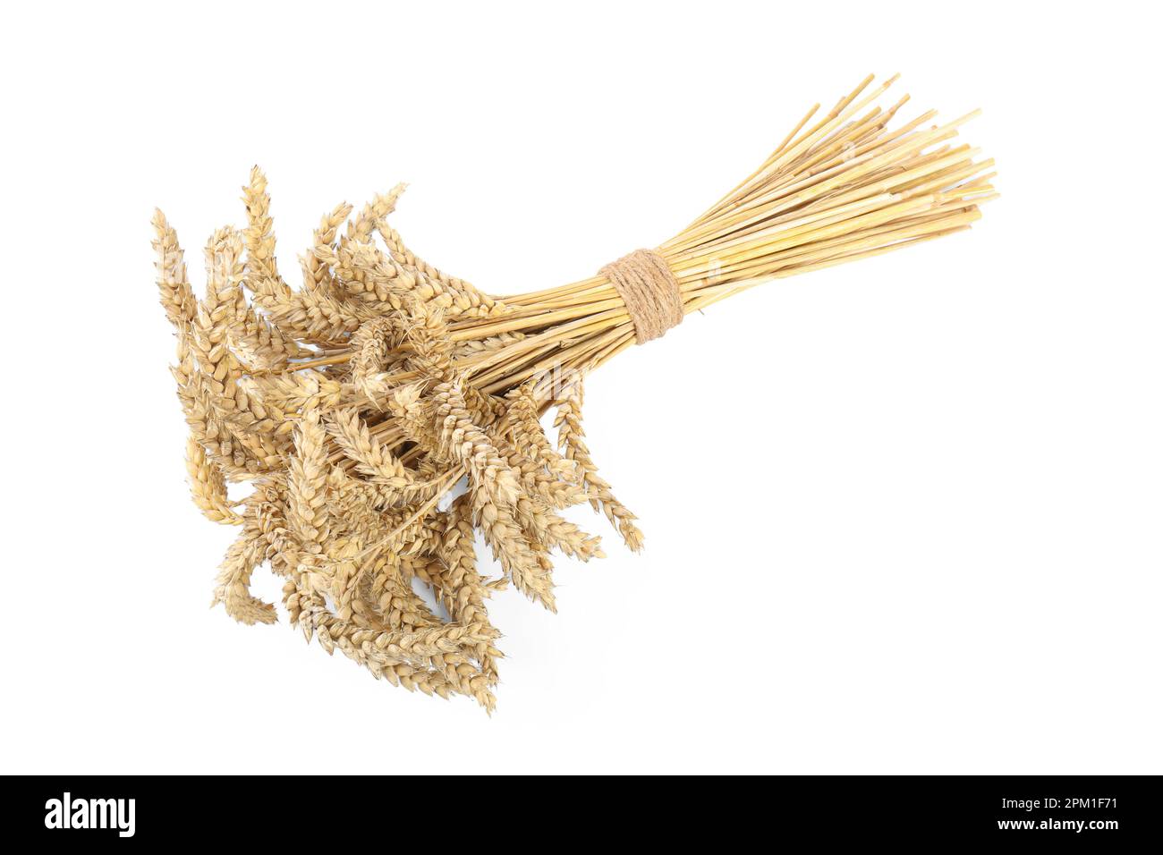 Dried wheat bunch on hi-res stock photography and images - Alamy