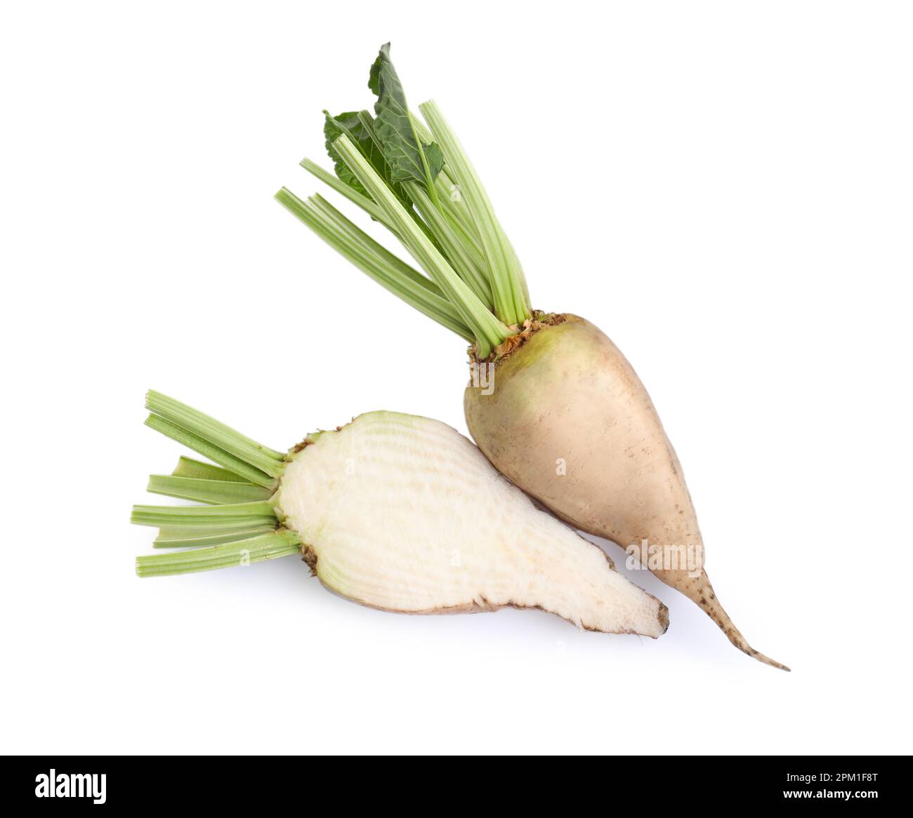Whole and cut sugar beets on white background Stock Photo - Alamy