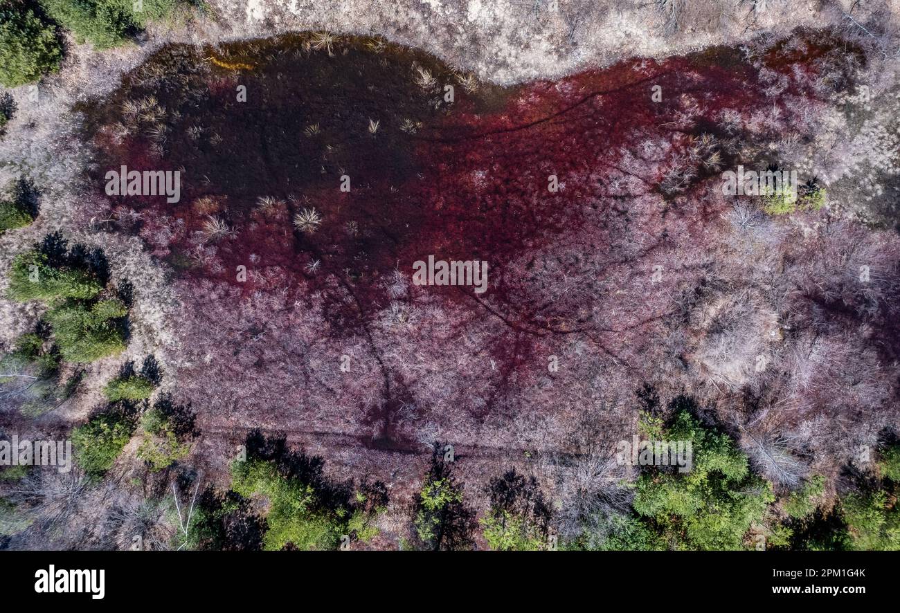 Cranberry bog aerial hi-res stock photography and images - Alamy