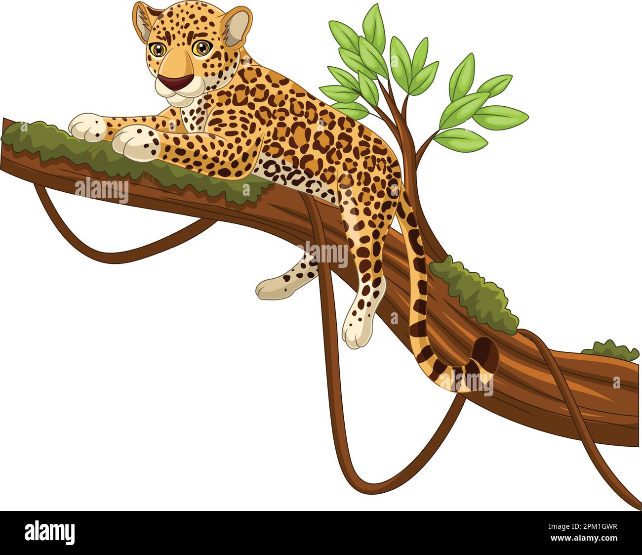 Cartoon leopard lying on a tree branch Stock Vector Image & Art - Alamy