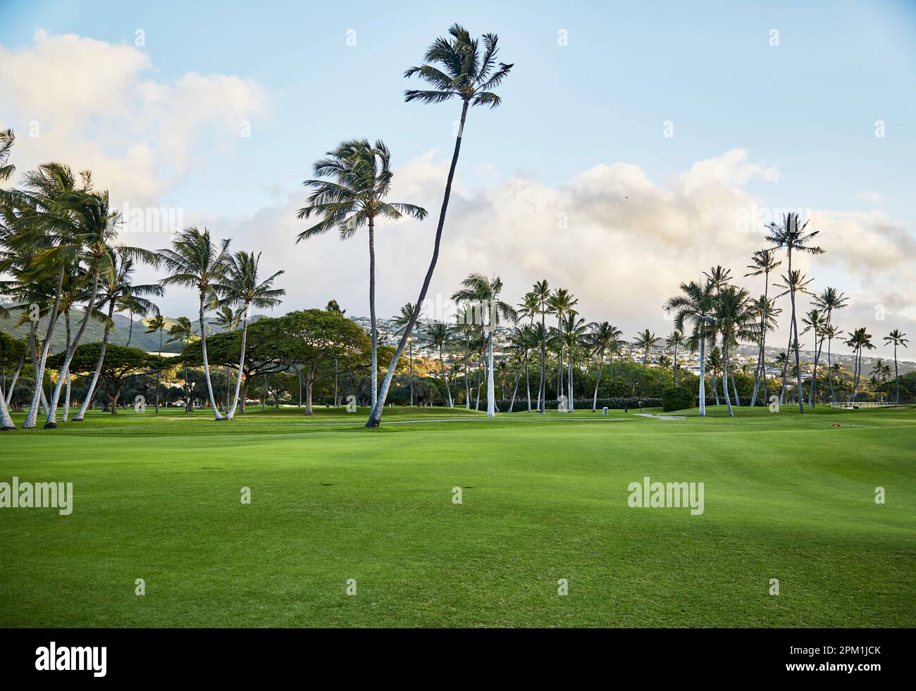 Honolulu hawaii oahu golf hi-res stock photography and images - Alamy