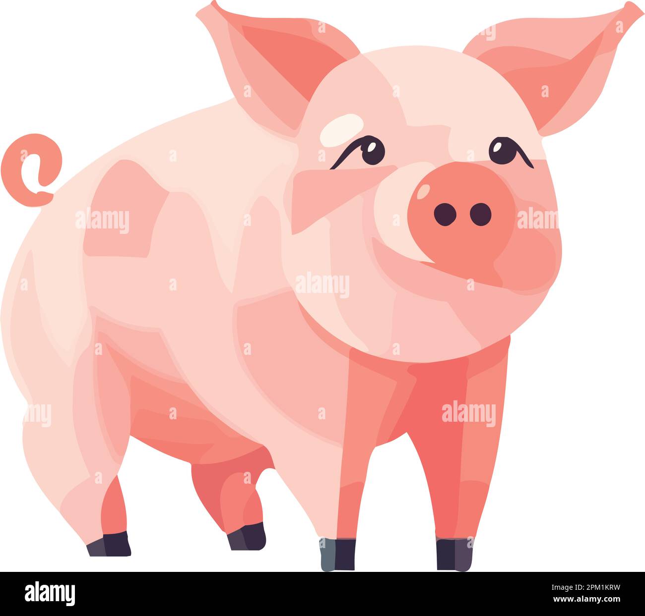 Cute piglet, standing character Stock Vector Image & Art - Alamy