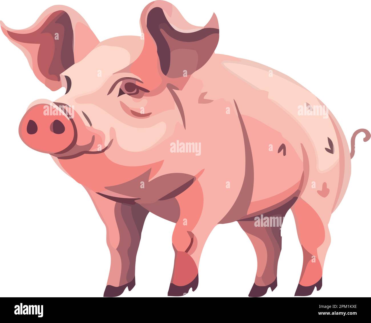 Fat piglet standing and smiling Stock Vector Image & Art - Alamy