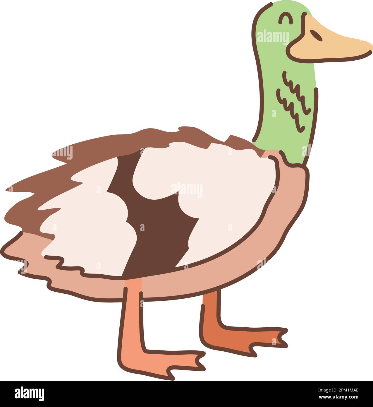 Cute poultry duck cartoon Stock Vector Image & Art - Alamy