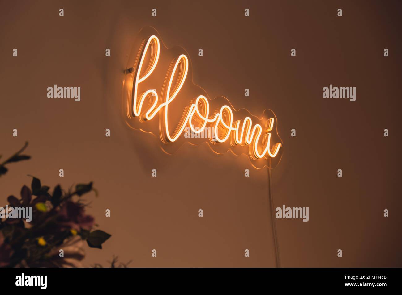BLOOMI inscription in neon lights at night. Electric sign at night ...