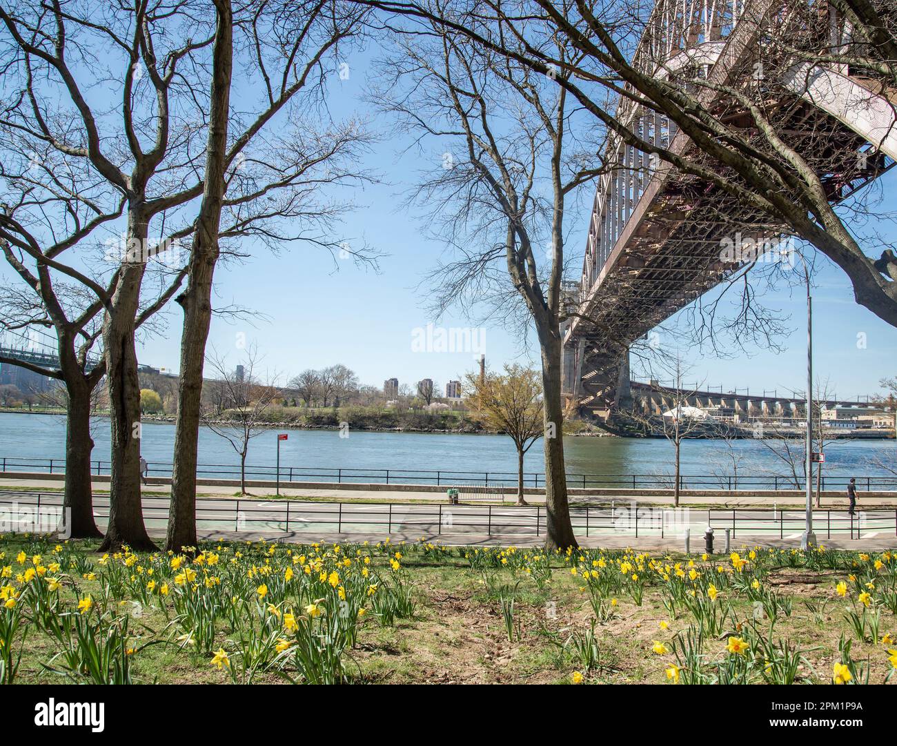 Spring in the city Stock Photo - Alamy