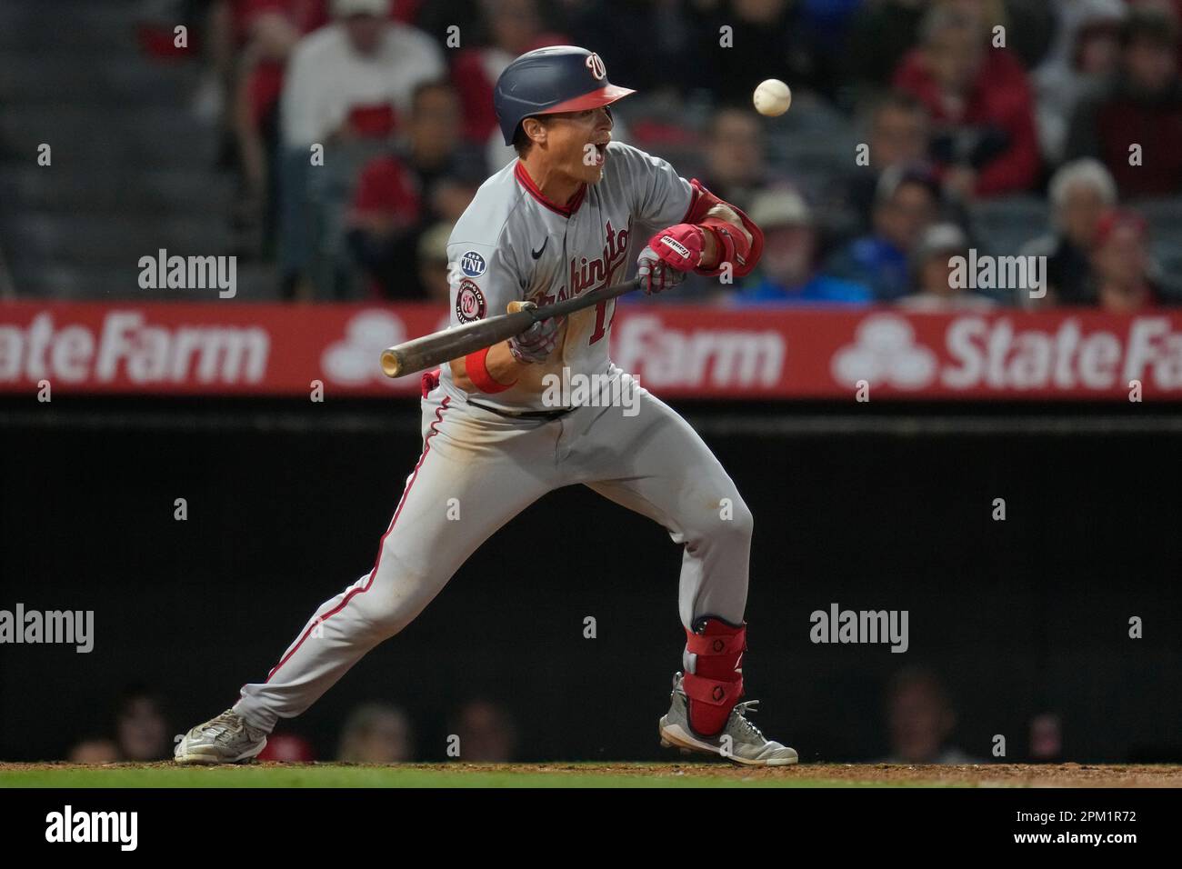 Washington Nationals' Alex Call (17) singles on a bunt during the ...