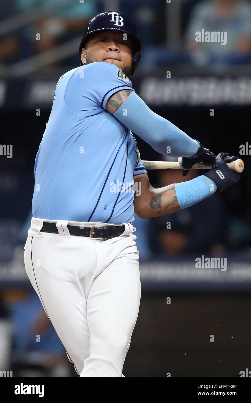 ST. PETERSBURG, FL - APRIL 10: Tampa Bay Rays Designated hitter Harold ...