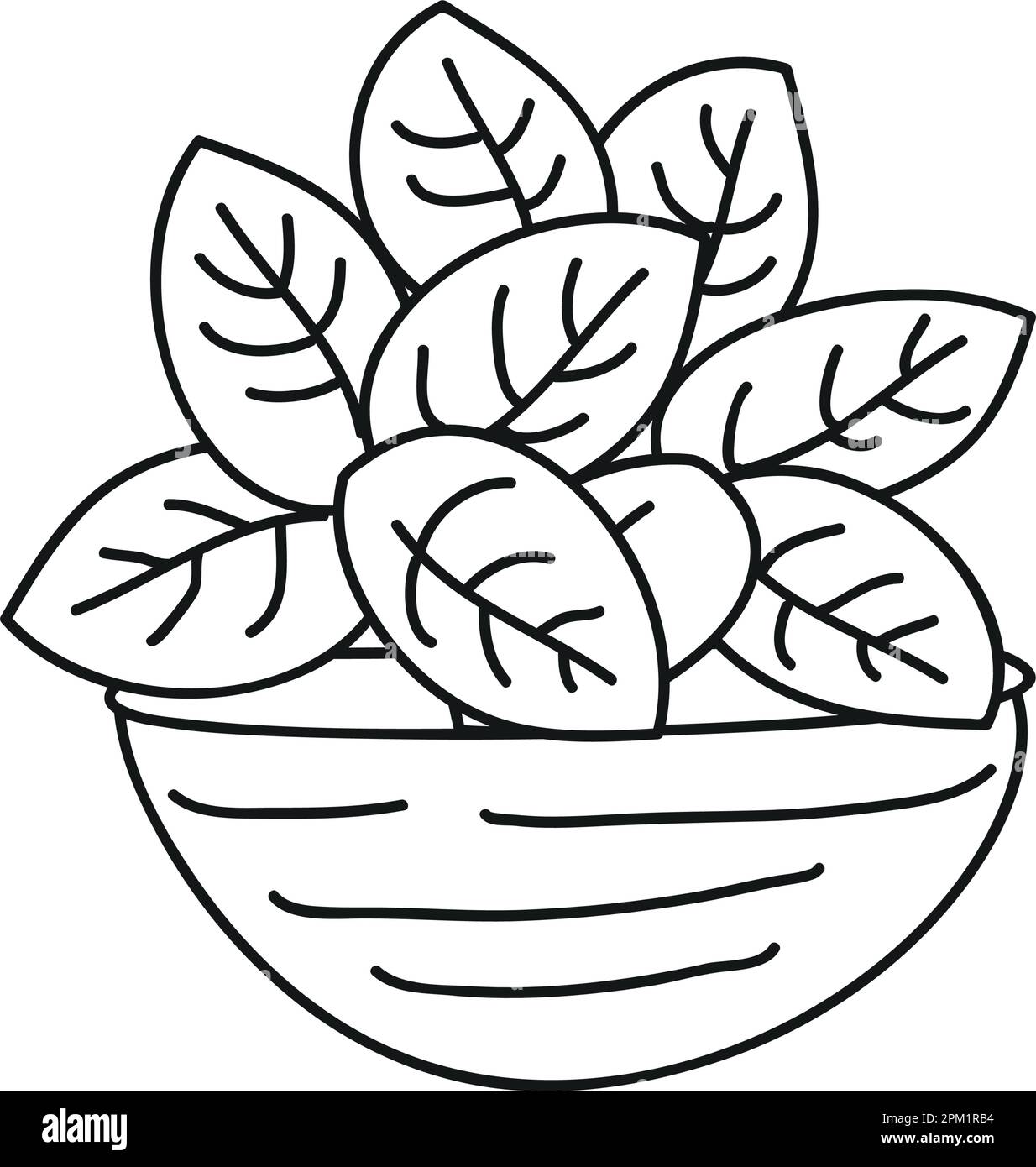 Vector illustration of botany plant growth Stock Vector Image & Art - Alamy