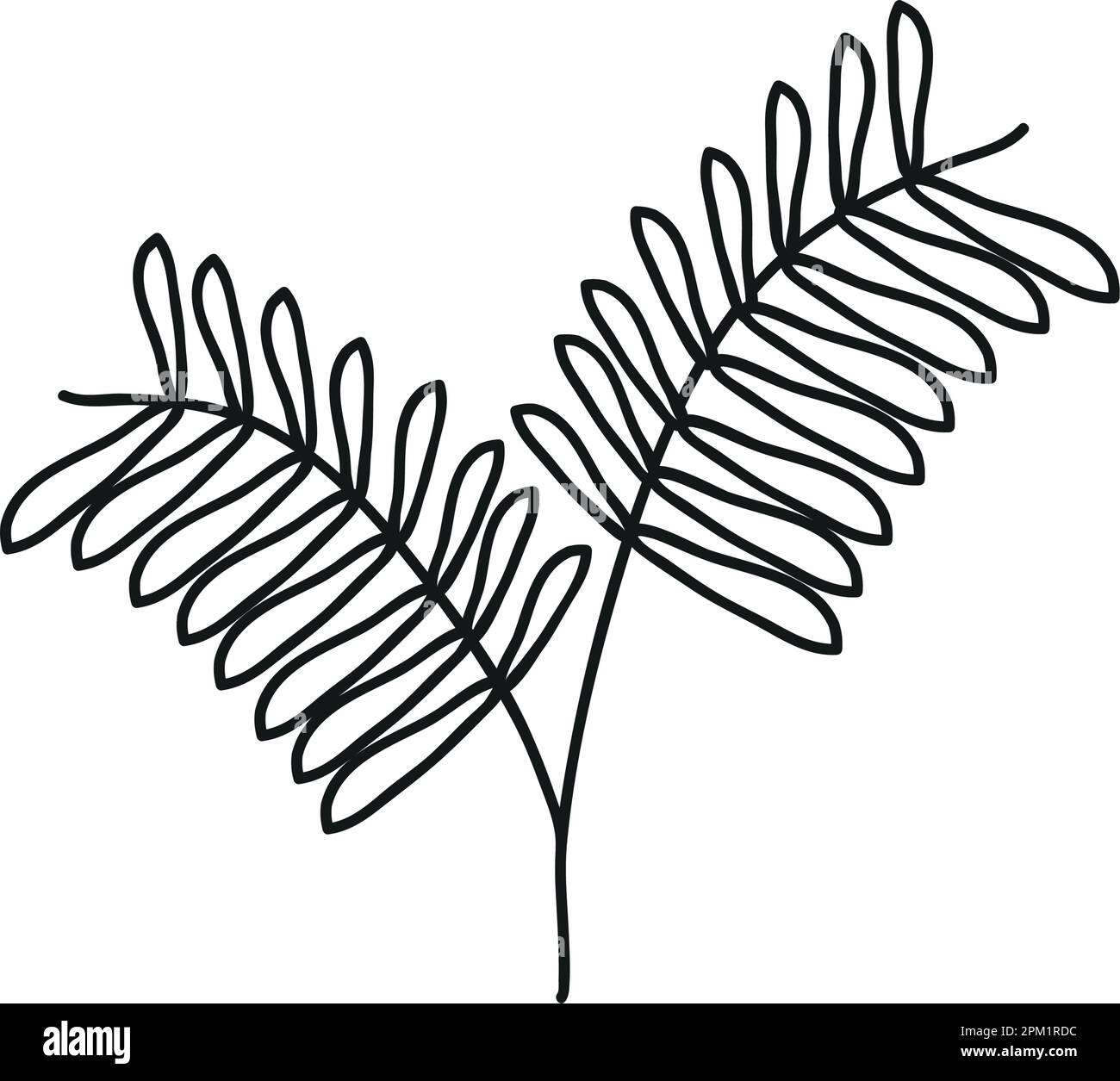 vector plant illustration branch leaf Stock Vector Image & Art - Alamy