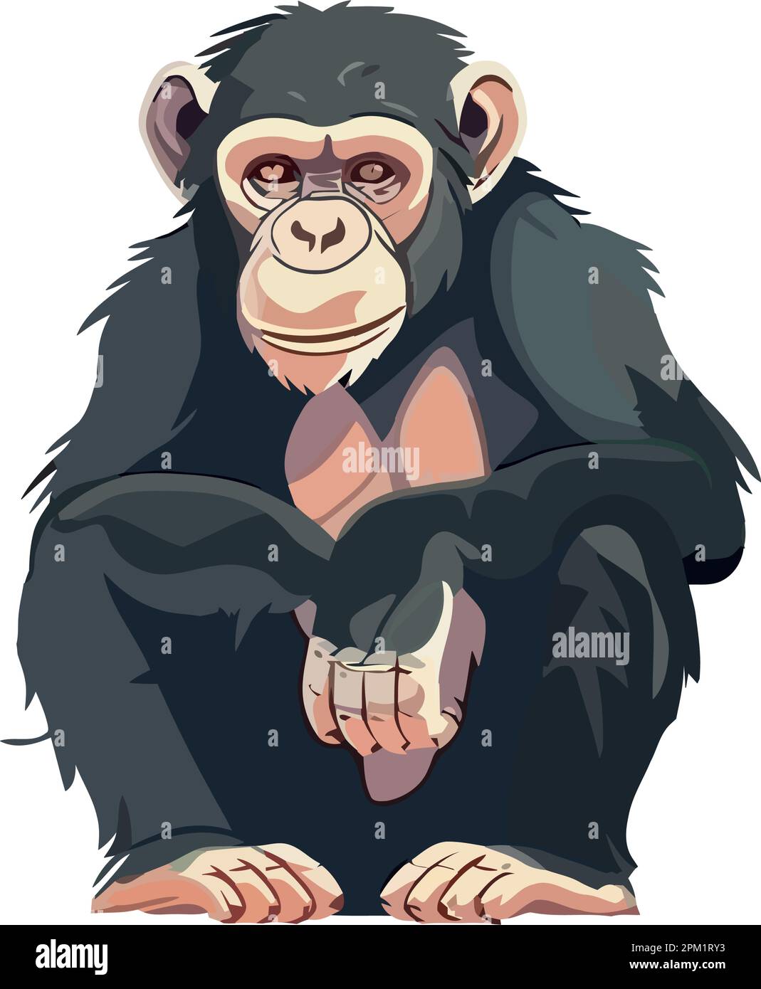 Smiling primate mascot sitting Stock Vector Image & Art - Alamy