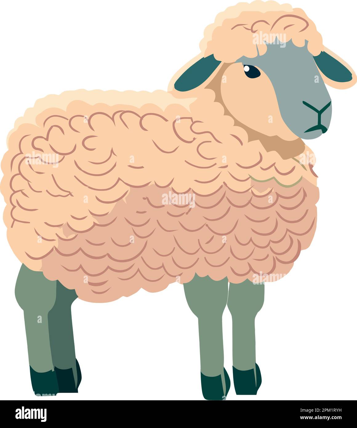 flat cute sheep Stock Vector Image & Art - Alamy