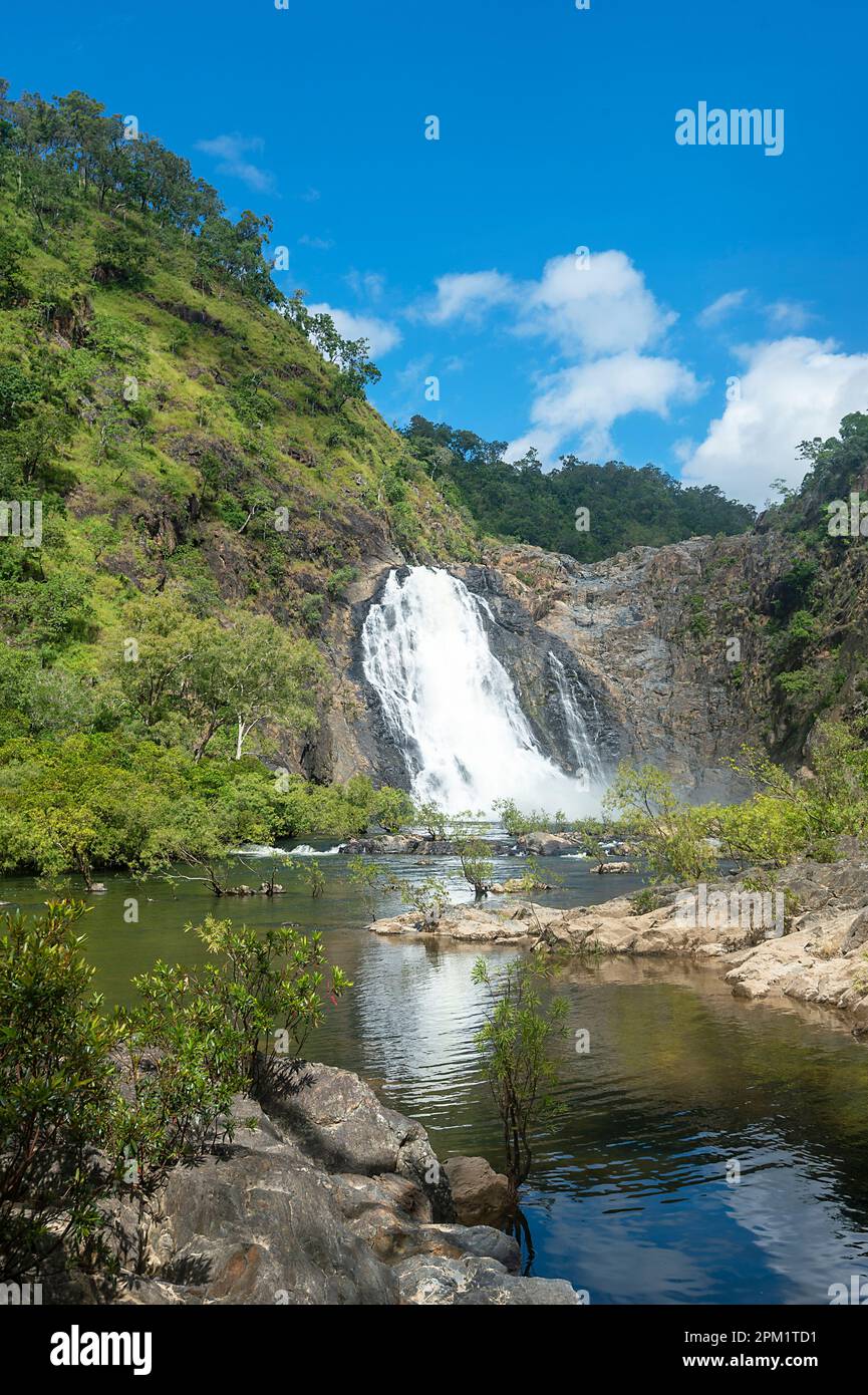 Vertical scenic view of Wujal Wujal waterfall, Far North Queensland ...