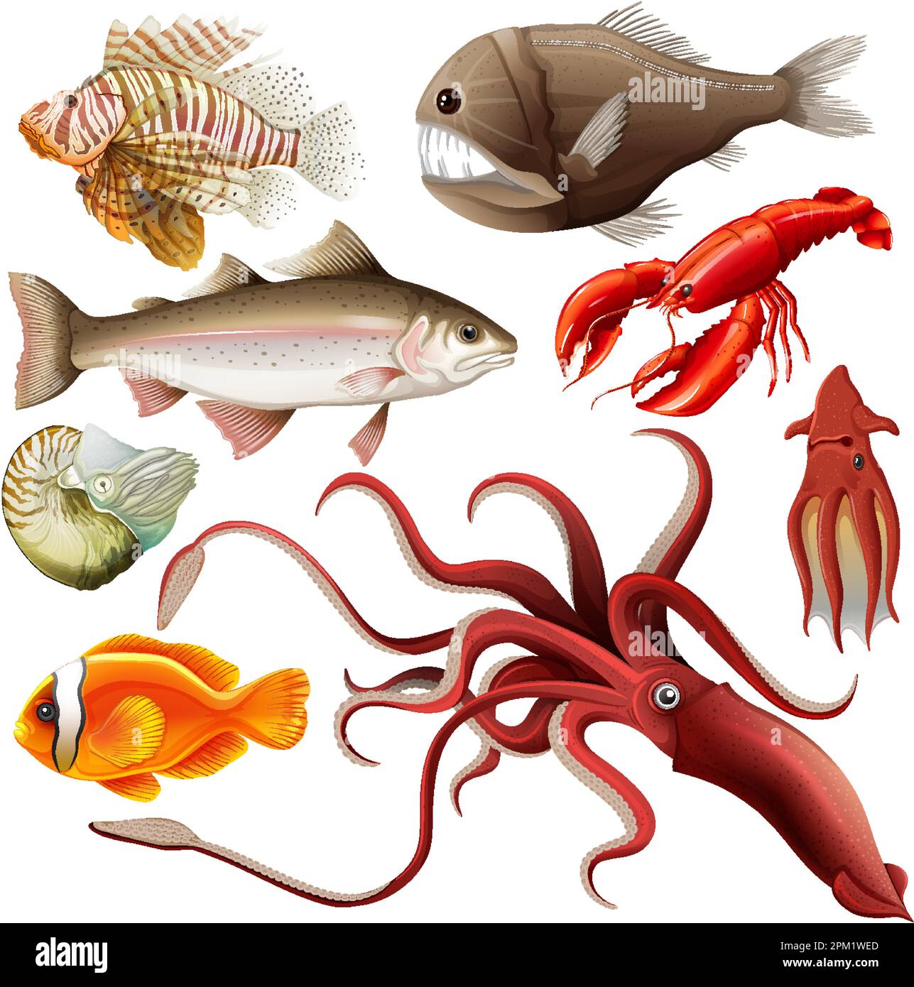 Sea Animals Vector Collection illustration Stock Vector Image & Art - Alamy