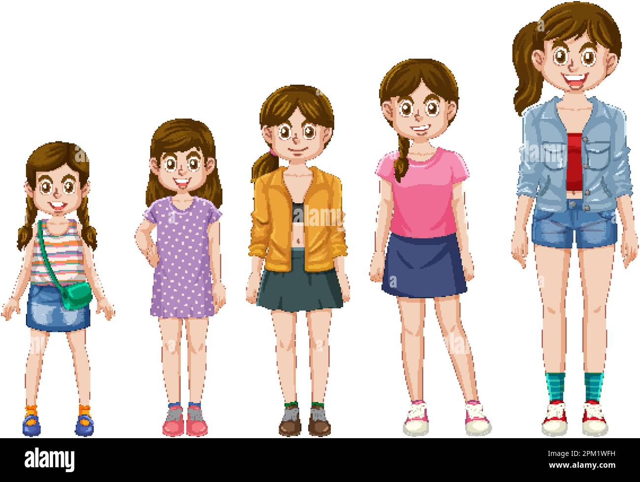 The Stages of Growth for a Young Girl illustration Stock Vector Image ...