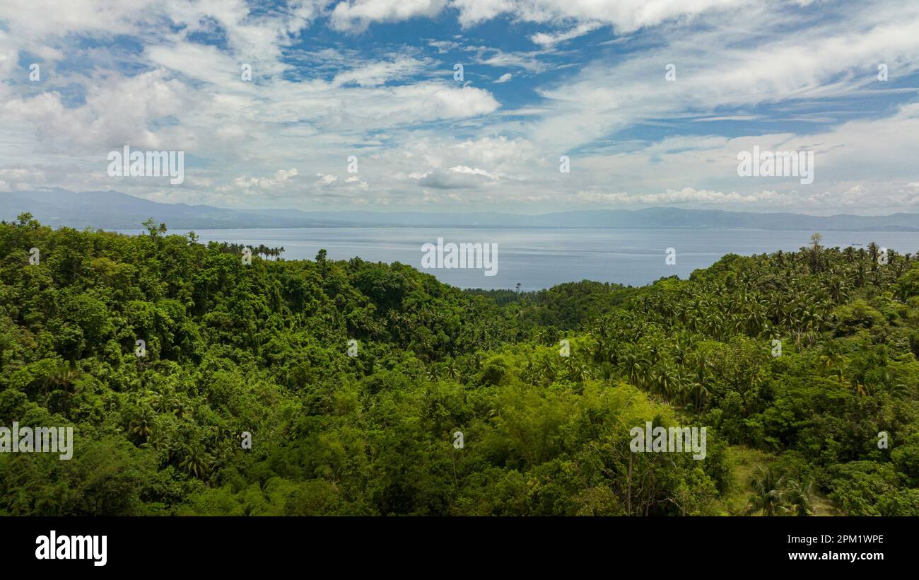 View from the jungle and rainforest to the sea. Cebu, Philippines Stock ...