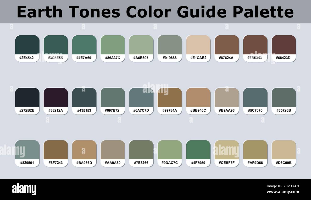 Set Of Earth tones Color Palette Catalog Sample With RGB HEX Codes ...