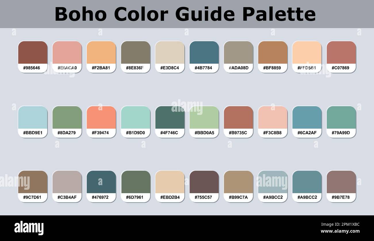 Set Of Boho Color Palette Catalog Sample With RGB HEX Codes Isolated In ...