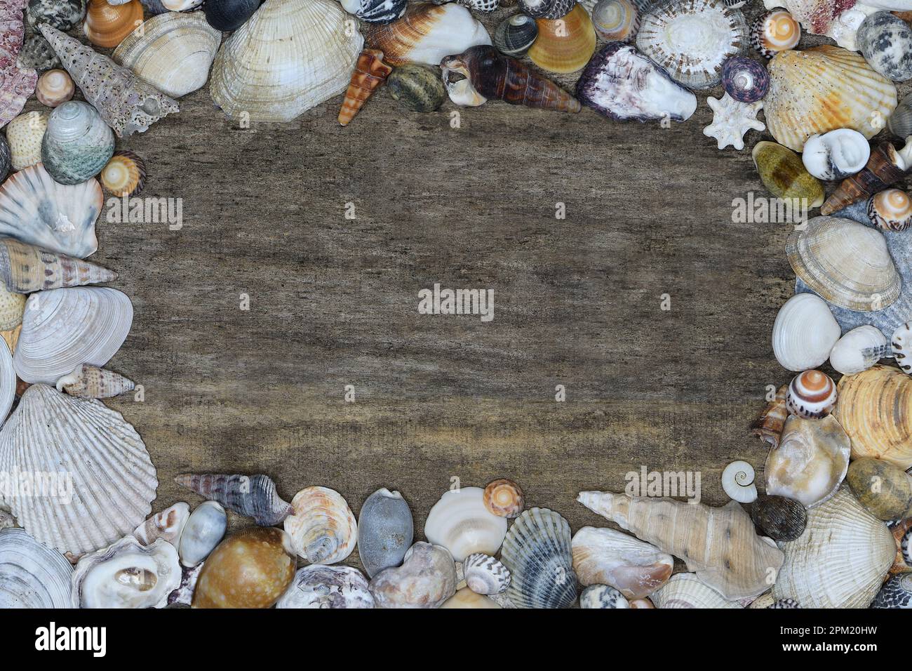 A border frame, top view of an assortment of Queensland, Australia ...